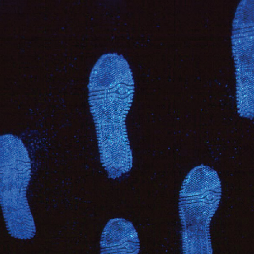 Lightning Powder Lightning Luminol — Pelican Supply