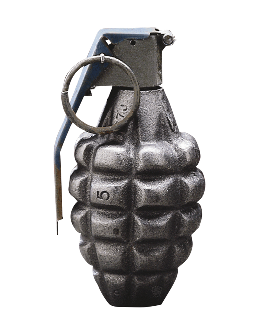 Inert Grenade Paperweight — Pelican Supply